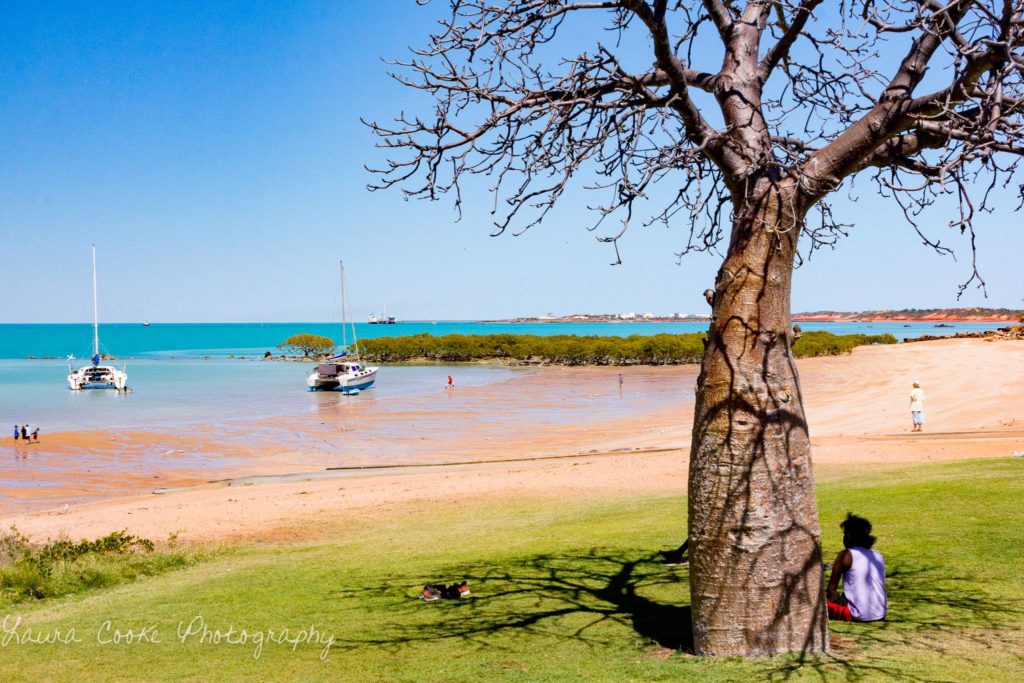 Scout X - True Blue Hire