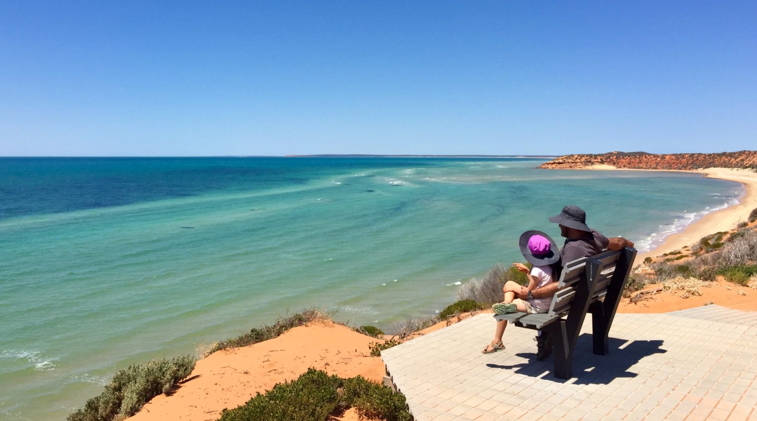 Scout X - True Blue Hire